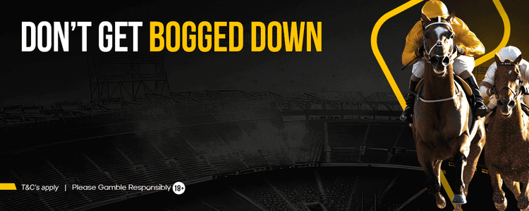 Bet with Swifty Sports - Live online Sportsbook and Casino